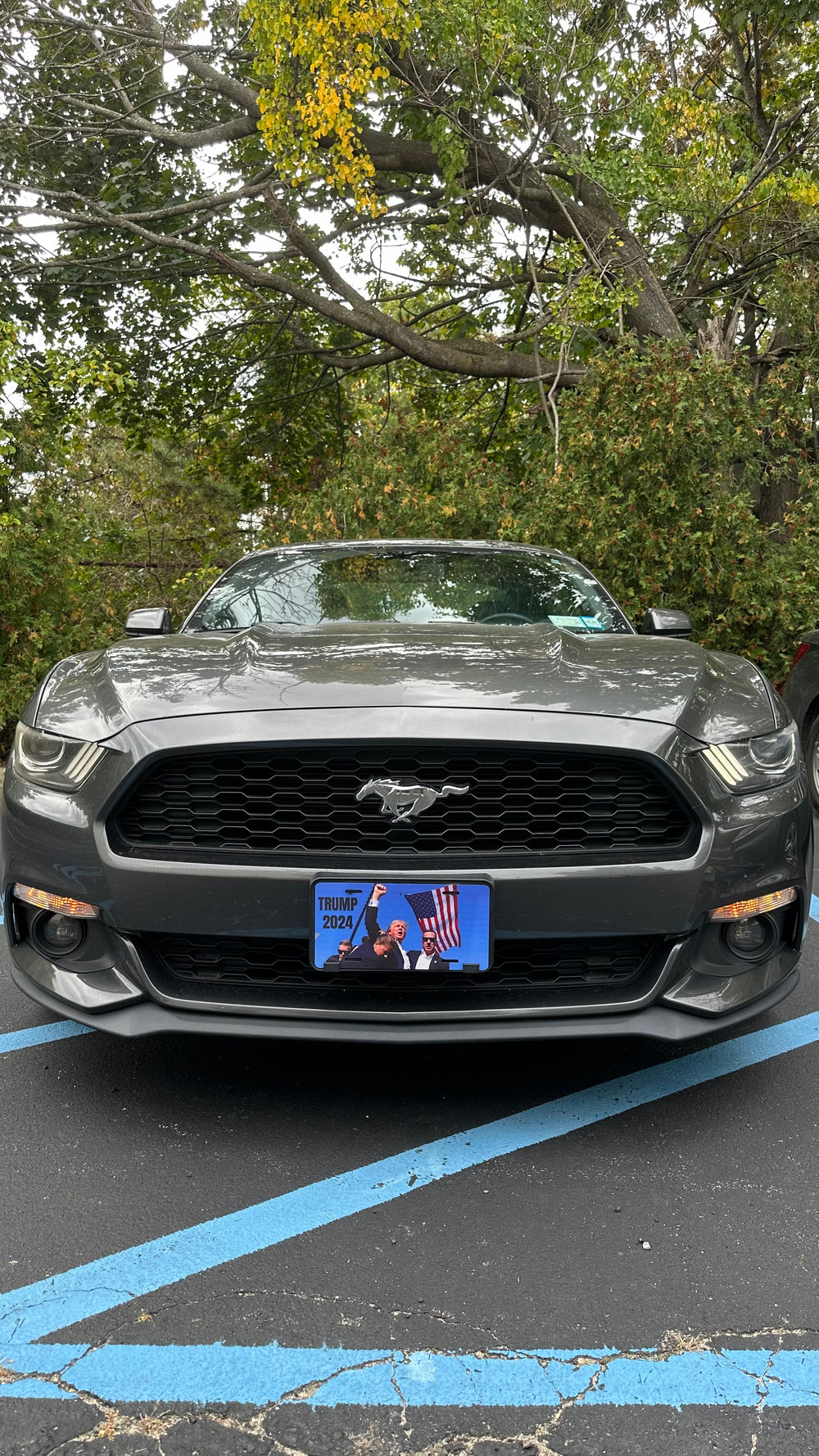 Trump License Plate – PatriotAddict